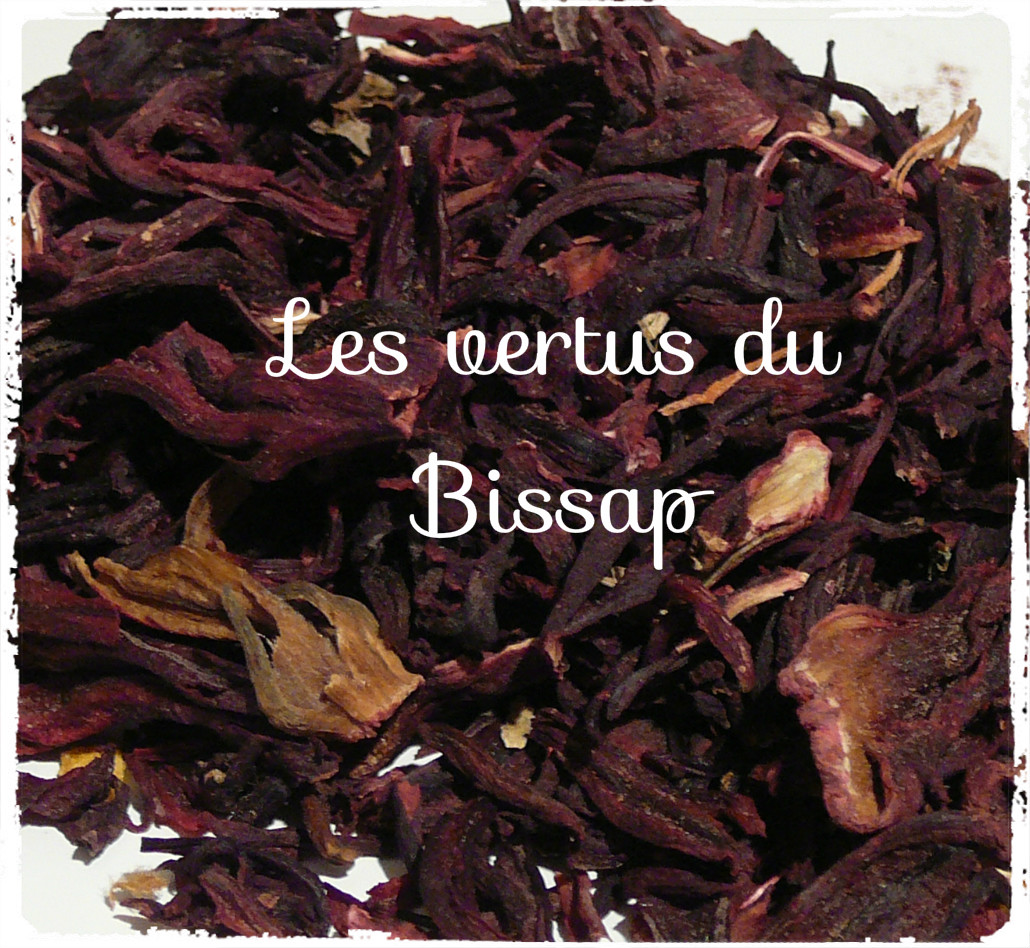 Connaissez vous le bissap et ses vertus? - Actubio.fr - Phytothérapie