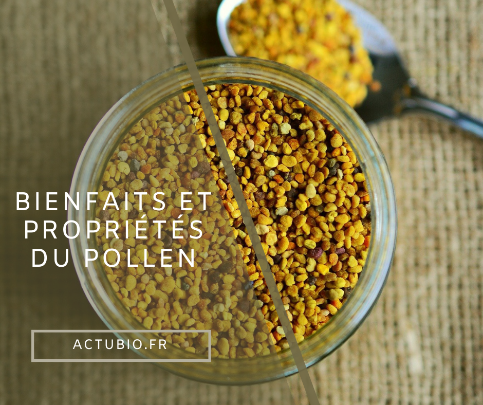Boostez votre immunité avec le pollen - Blog Actubio.fr - Nutrition