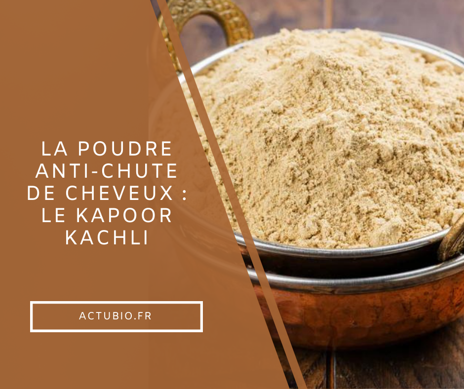 La poudre de Kapoor Kachli contre la chute de cheveux - Actubio.fr