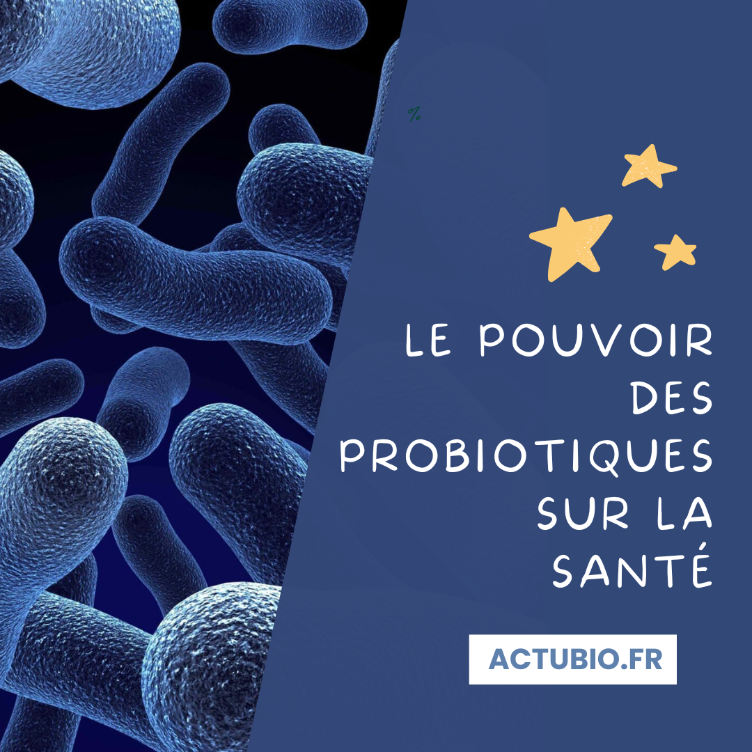 Réveillez vos intestins : le pouvoir des probiotiques sur votre santé